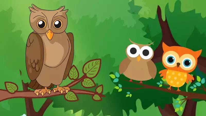 King Owl Short Story - Storybook