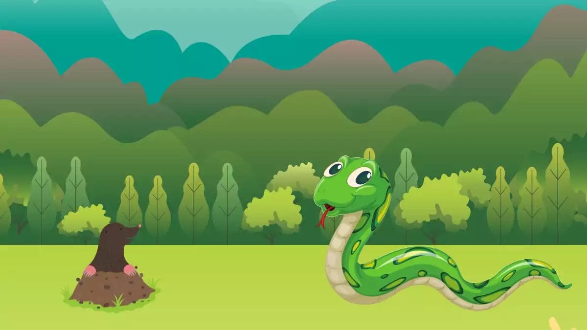 The Snake and The Mouse Story - Storybook