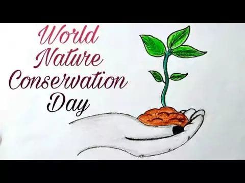 World Nature Conservation Day Drawings 2022 - Storybook