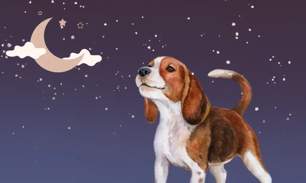 Education Stories - Storybook